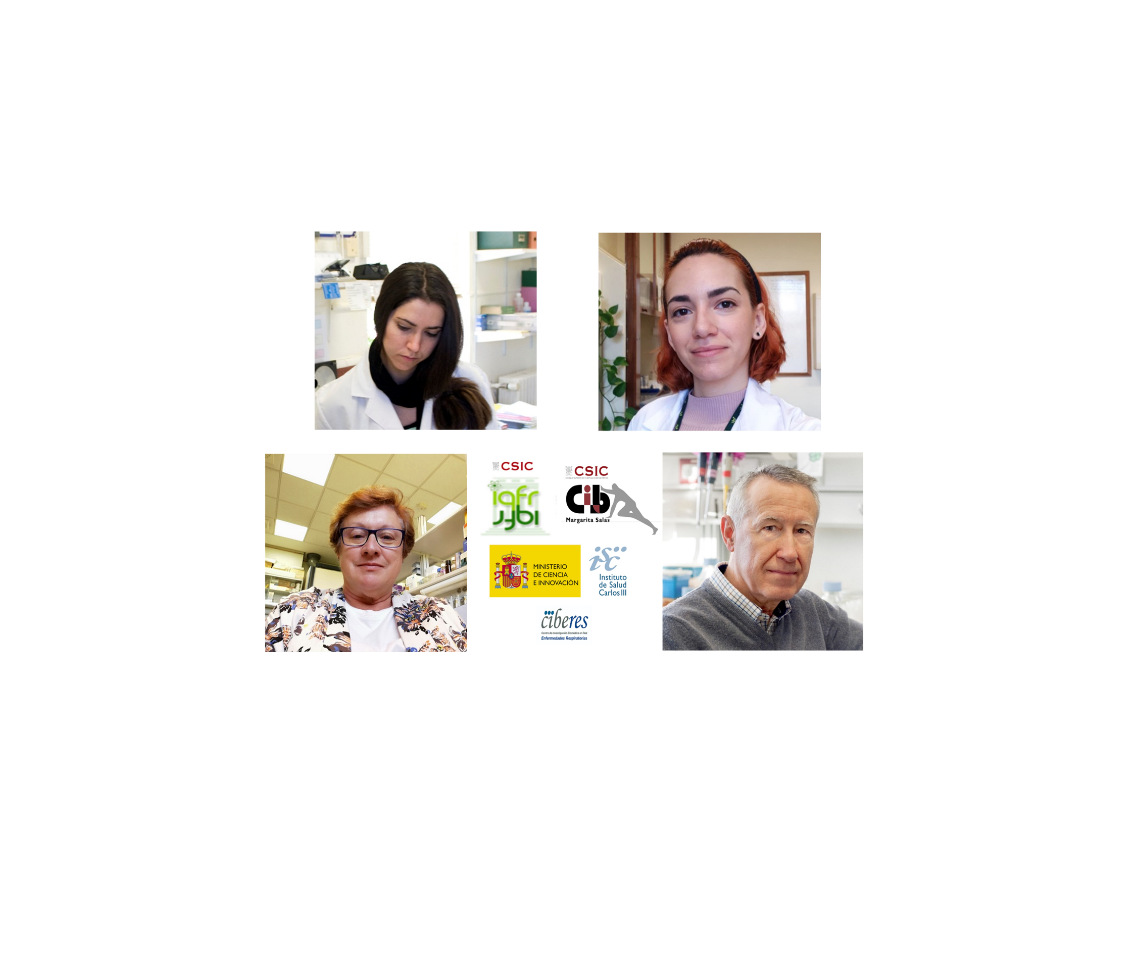 Nueva clave para el desarrollo de lisinas más eficaces frente a ...